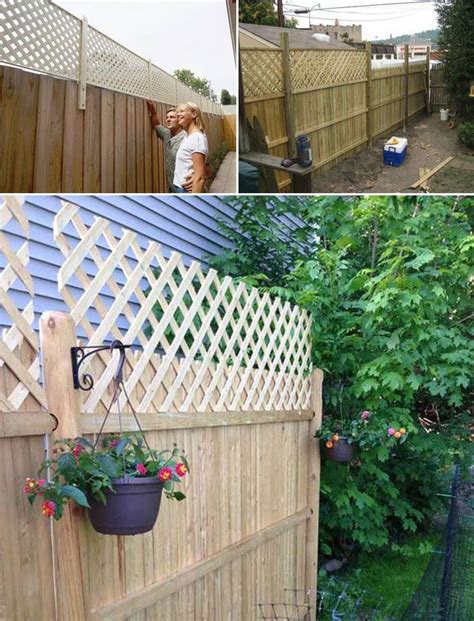 The Backyard Fence Is Too Low Add A Piece Of Plastic Or Wooden Lattice