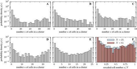 Cluster Size Distribution For A Fixed Density But Various System Sizes