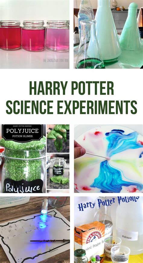 The Harry Potter Experiment