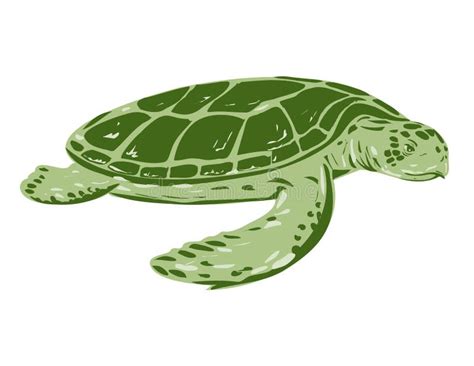 Side View Turtle Stock Illustrations 493 Side View Turtle Stock