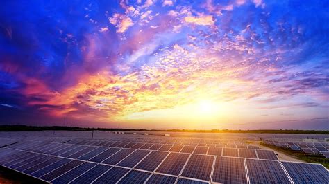 Supply Path Optimization Gains Critical Ad Community Support Viant