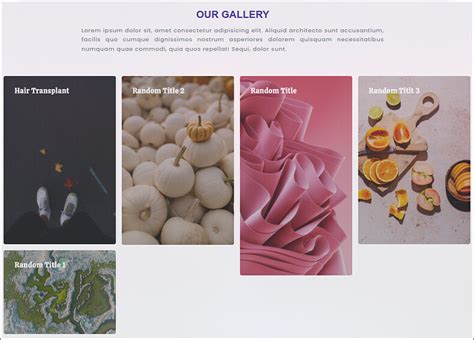 Dynamic Image Gallery Support Hugo