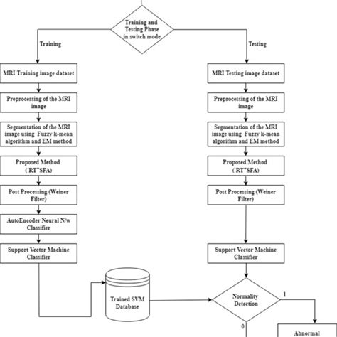 Forest Fire Identification Process Download Scientific Diagram