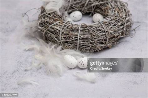 Round Birds Nest Photos And Premium High Res Pictures Getty Images
