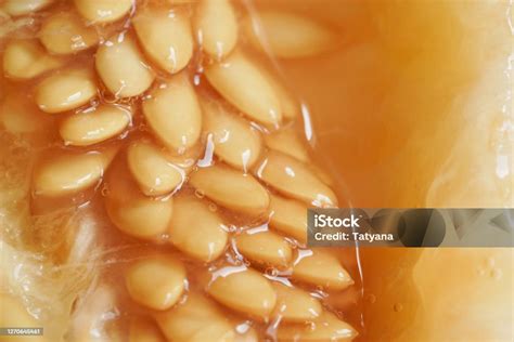 매크로 사진 멜론 수분이 많은 펄프와 잘 익은 씨앗 클로즈업묘목 씨앗 선택적 초점 건강한 생활방식에 대한 스톡 사진 및 기타 이미지 건강한 생활방식 건강한 식생활