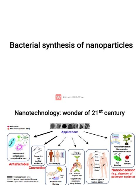 Bacterial Synthesis Pdf Nanoparticle Bacteria