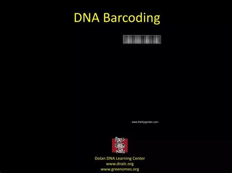 Ppt Dna Barcoding Powerpoint Presentation Free Download Id1707455