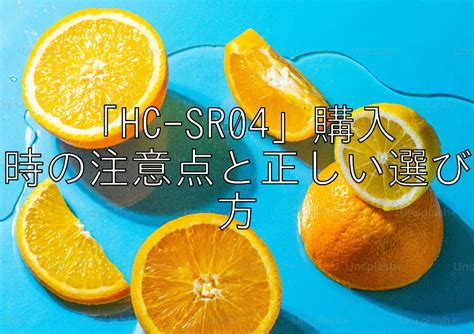 「hc Sr04」購入時の注意点と正しい選び方