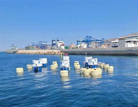 Wave2energy Pioneering Technology Harnessing Wave Energy For Immediate