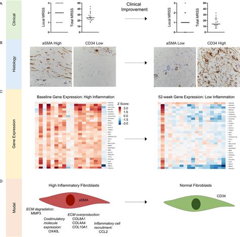 Model Integrating Analysis Of Clinical Histologic And Gene Expression Download Scientific