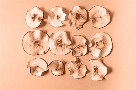 복숭아 솜털 색상 2024 년의 트렌디 한 색상의 배경 위에 말린 사과 칩 0명에 대한 스톡 사진 및 기타 이미지 0명 2024년 가뭄 Istock