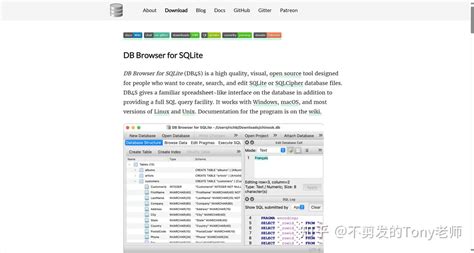 Db4s：一个开源跨平台的sqlite数据库管理工具 知乎