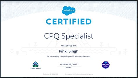 Pinki Singh On Linkedin Salesforce Salesforceadmin Salesforcebusinessanalyst