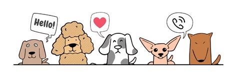 ცხოველების გაჩუქება Added A New Photo ცხოველების გაჩუქება