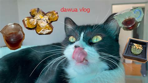 Vlog 열심히 먹고 마시는 일상 그런데 이제 동생을 곁들인 Youtube