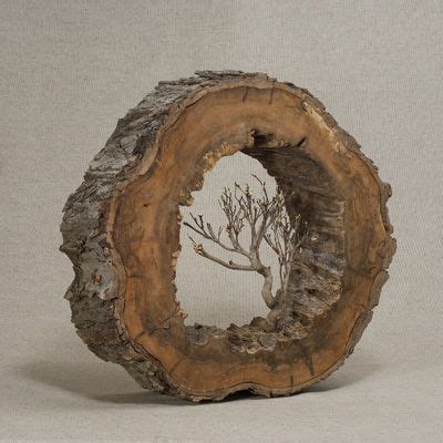 Tree Stump Art Driftwood Crafts Driftwood Art Wooden Art