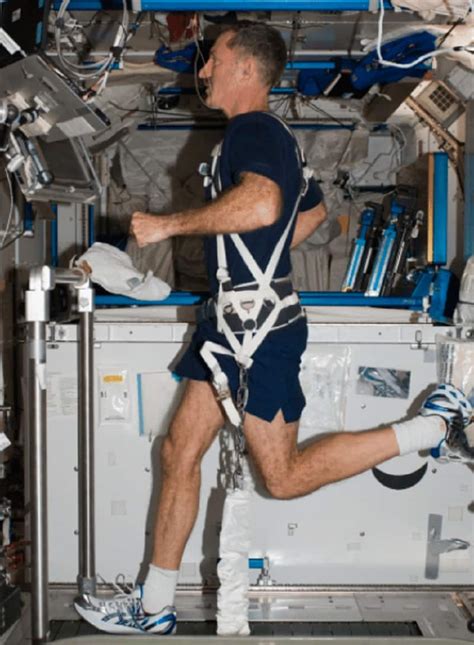 Como A Gravidade Reduzida Afeta O Sistema Muscular Dos Astronautas
