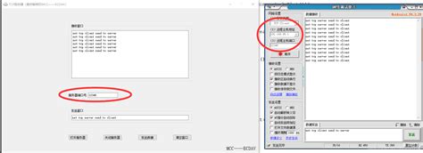 Qt 零基础设计实现tcp服务器和客户端上位机（零基础实战详解，附源码文件）qt Tcp服务器 Csdn博客