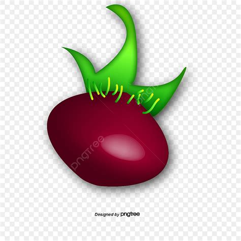 Raspberry Vector Raspberry Fruit Great Png And Vector With
