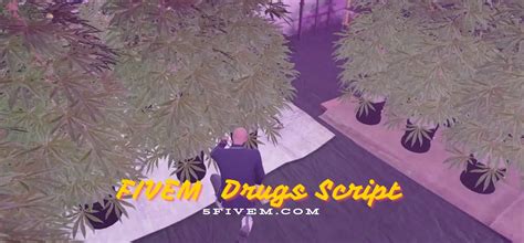 Fivem Drugs Script Qbus 5fivem Best Redm Full Server And Fivem
