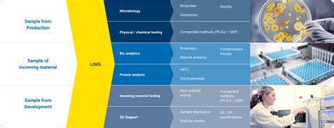 Analytical Development