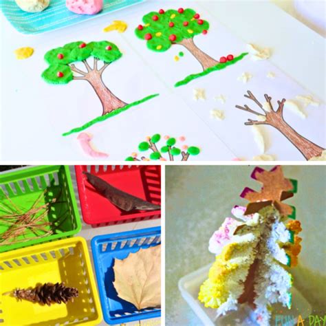 Tree Science Activities For Prebabeers Fun A Day