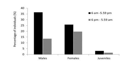 Relationship Between The Number Of Individuals Per Class Males Download Scientific Diagram