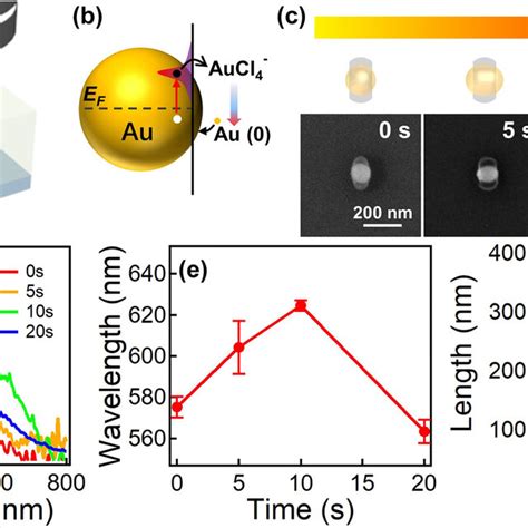 Oligomer Capped Anisotropic Growth Of Au Nrs Schemes Of Experimental Download Scientific