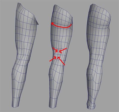 Maya Modeling Modeling Tips Anatomy Models Anatomy For Artists 3d Model Character Character