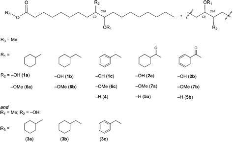 Methyl Functional Group