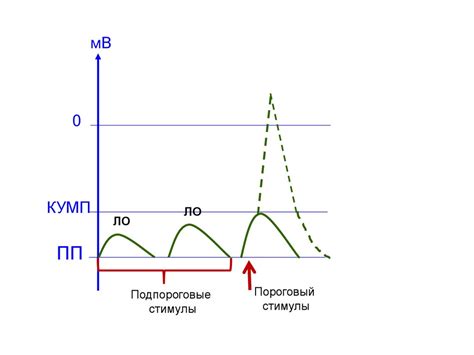 Нормальная физиология. Лекция 1 - презентация онлайн