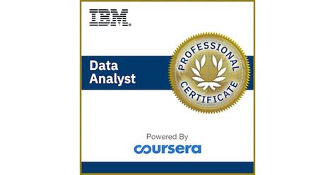mojtaba rahmani golafshani ph d on linkedin data analyst professional