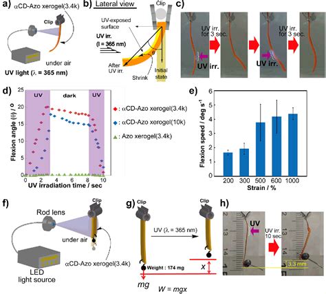 Figure 1 From A Photoresponsive Polymeric Actuator Topologically Cross Linked By Movable Units