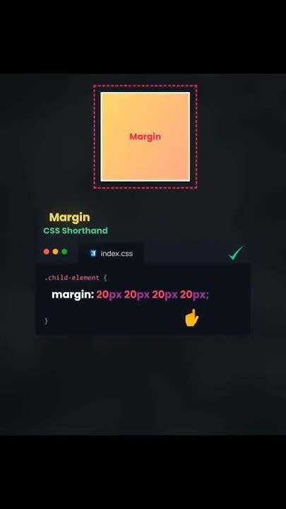 Learn Css Margin And Padding Margin Padding Csshacks Coding Html