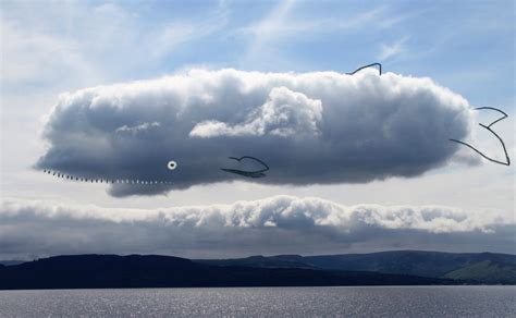 The Art Room Plant Chris Judge