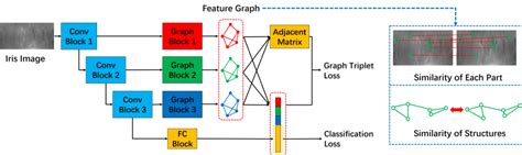 Yunlong Wang IEEE TPAMI 解决遮挡生物特征识别的多尺度动态图表达框架