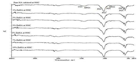 Ftir Spectra Of Zn Doped Ha Powders Download Scientific Diagram