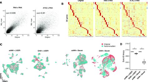 Crossmodal Generation From Chromatin Accessibility To Transcriptome