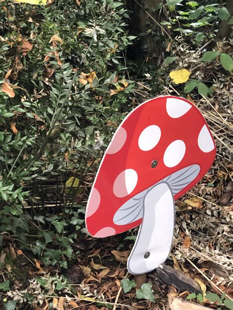 Having Some Trouble Can Anyone Help Me Identify What This Is R Deeprockgalactic