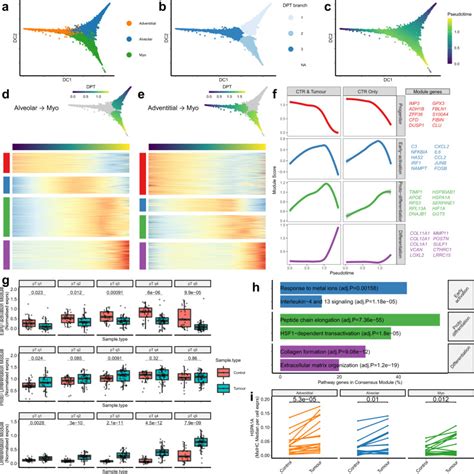 Single Cell Analysis Reveals Prognostic Fibroblast Subpopulations Linked To Molecular And