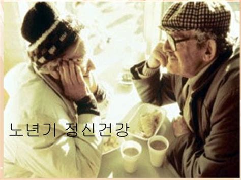 노년기정신건강 문제