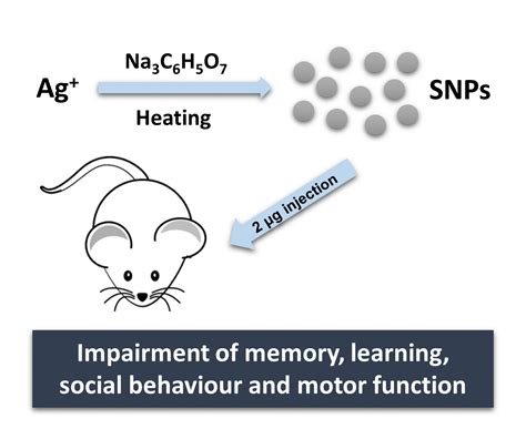 The Effect Of Silver Nanoparticles On Learning Memory And Social Interaction In Balbc Mice