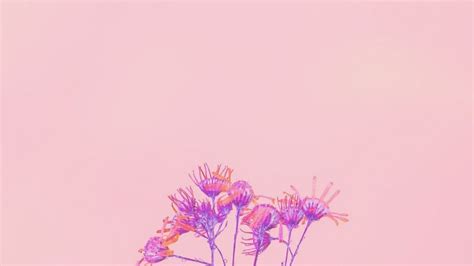 Css Shorts By Css Create Overlay Easily