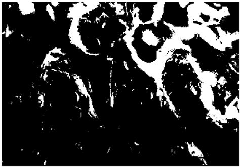 Attapulgite Composite Ceramic Membrane Support And Preparation Method And Applications Thereof