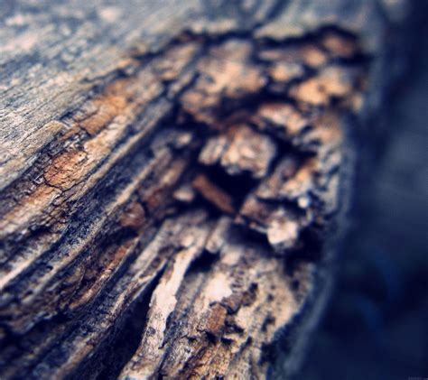 What Is A Vcpu And How To Calculate Vcpu Requirements Never Open