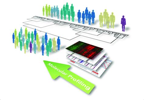 Illustrative Representation Showing The Concept Of Functional And