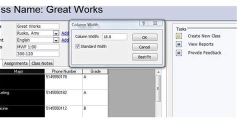 how to resize a row or column in access