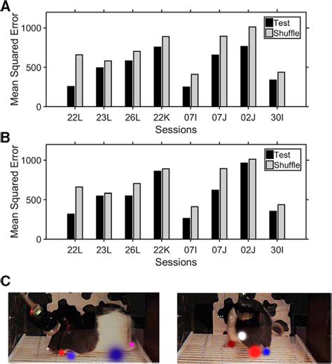 How Much Does Movement And Location Encoding Impact Prefrontal Cortex Activity An Algorithmic