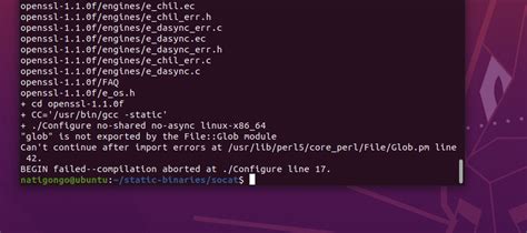 Cannot Compile Socat Binaries · Issue 45 · Andrew Dstatic Binaries · Github
