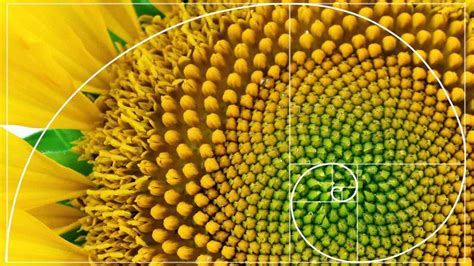 sesame disk on linkedin mastering fibonacci sequence advanced dynamic